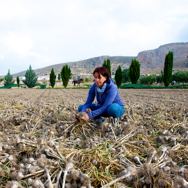 PRIJAVA ZA POSAO NA FARMI - POSAO U NJEMAČKOJ